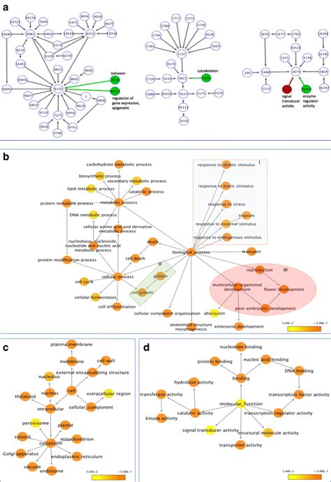 Gene Networks Of Differentially Expressed Genes Degs In Chilled