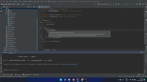 intellij idea class browsermodule is not an angular module stack