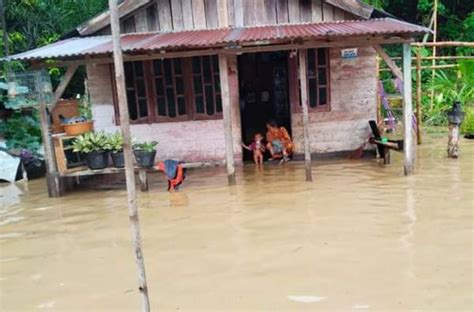 Banjir Bandang Di Aceh Tenggara Wilayah Terdampak Dan Kondisi Terkini
