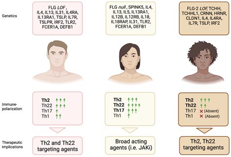 Jcm Free Full Text Overview Of Atopic Dermatitis In Different