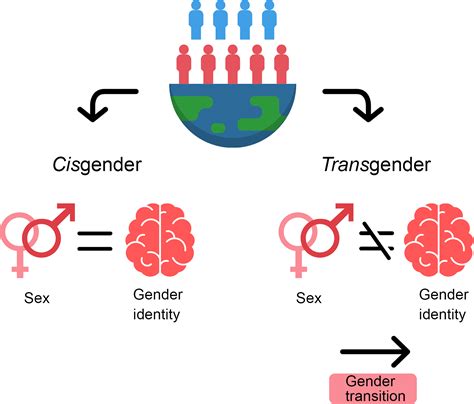 Expanding The Limits Of Sex A Systematic Review Concerning Food And
