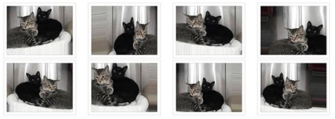 building powerful image classification models using very