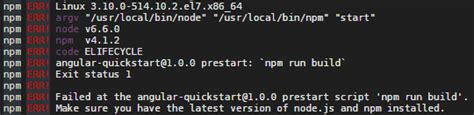 code error leads to npm run build error angular2