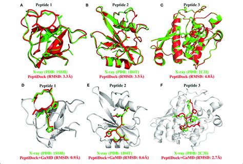 Docking Poses Red Of Three Peptide Motifs Obtained Using Peptidock