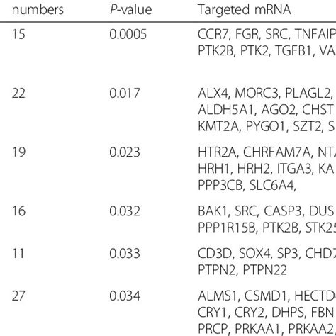 Go Analysis Of Predicted Target Genes Of Five Validated C19mc Mirnas