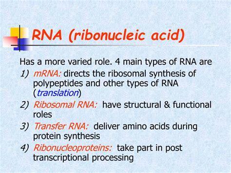 Structure And Functions Of Three Major Types Of Ribonucleic Acid Rna