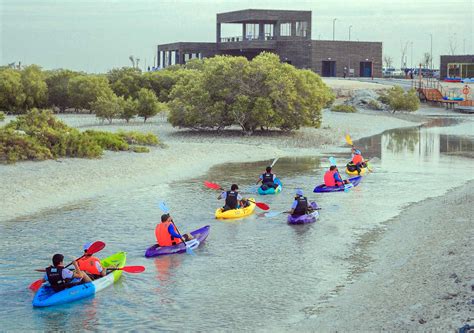 Best Kayaking Company In Abu Dhabi Mangrove Adventures