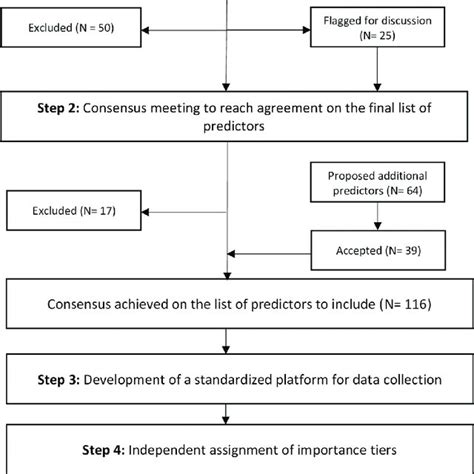 flowchart depicting the modified delphi process used to develop the