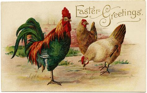 Rooster And Hens Vintage Image The Old Design Shop