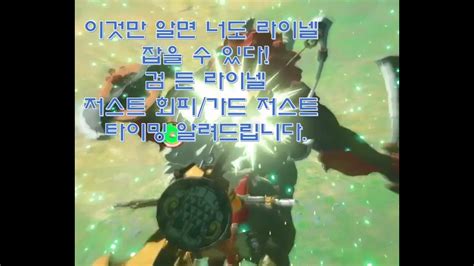 젤다 야숨 몬스터 무기 유형별 저스트 회피 가드 저스트 강의 한손검 라이넬 편 Youtube