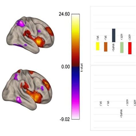 Group Contrasts Of Seed To Voxel Connectivity Maps With Acc Seed