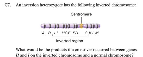 Answered 7 An Inversion Heterozygote Has The… Bartleby
