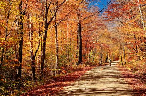 The Best Destinations In The United States For Leaf Peeping • The