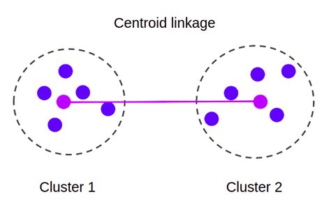 definitive guide to hierarchical clustering with python and scikit