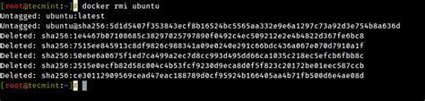 install docker and learn basic container manipulation in centos and