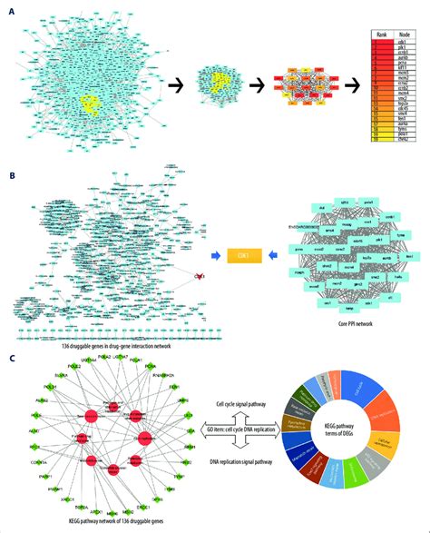 A Core Ppi Network And Hub Genes Identified By Cytonca And Cytoscape