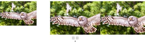 adding item to owl carousel using javascript break the ui v2 0 4