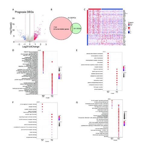Molecular Characteristics Of Good And Poor Prognosis Subgroups A