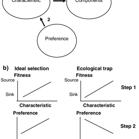Schematic Figure On The Relationships Between Preference And Habitat