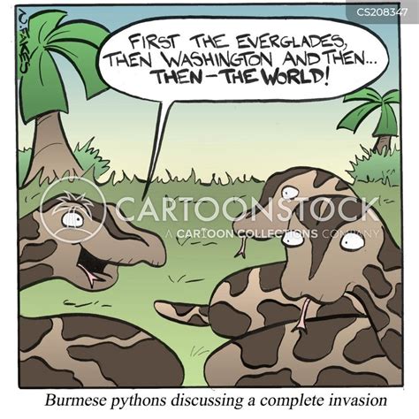 burmese python cartoons and comics funny pictures from