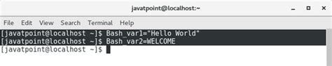 bash variables javatpoint