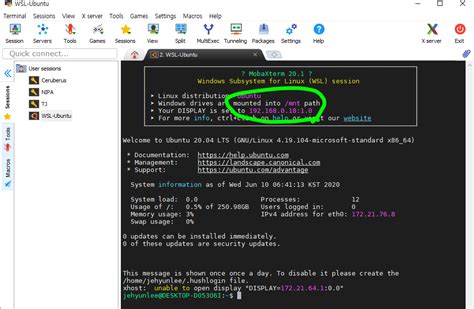 x window on docker on wsl 2 pega devlog