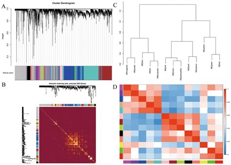 Construction Of Co Expression Modules By Wgcna A Custer Dendrogram