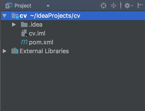 maven getting spring boot project working no sources were created