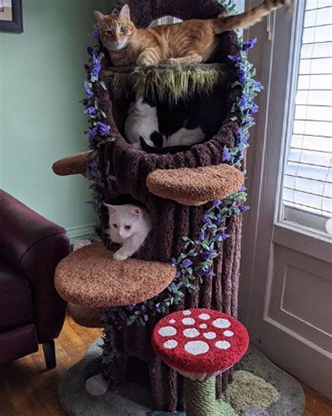 Unique Cat Tree With Mushroom Unique Cat Trees Diy Cat Tree Cat