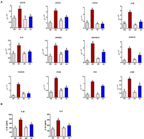 Frontiers Transcriptome Analysis Identifies Strategies Targeting