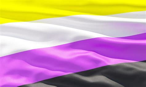 July 14 International Day Of Non Binary Visibility Rainbowhouse