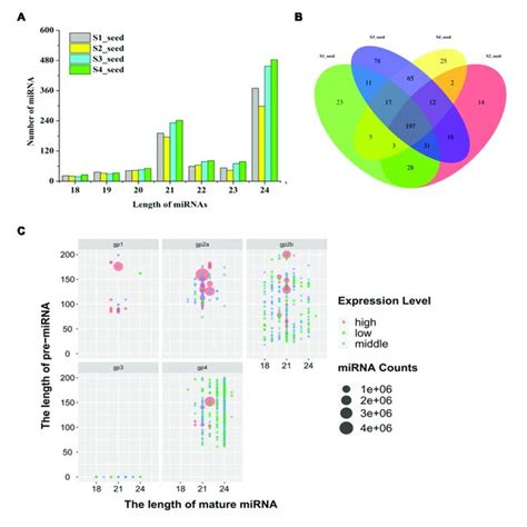 A Number Of Different Length Mirna Distribution In Different