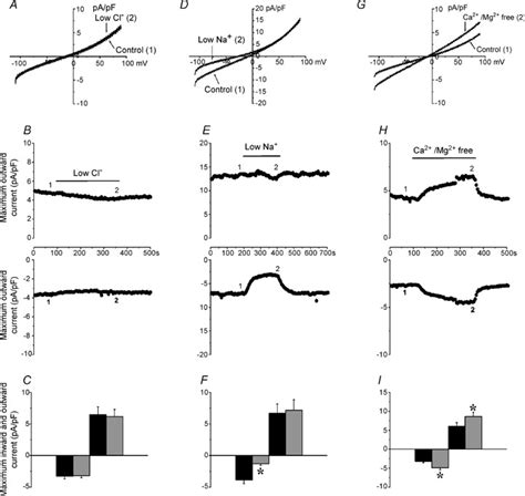 Properties Of A Weakly Outwardly Rectifying Ionic Current Identified