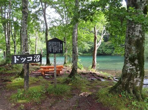 『晴れおじさん「猛暑のお盆にパワースポット」を巡る』山形県の旅行記・ブログ By アジア好きの晴れおじさんさん【フォートラベル】