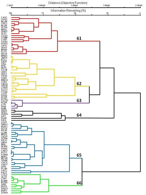cluster analysis dendrogram euclidean distance and ward s