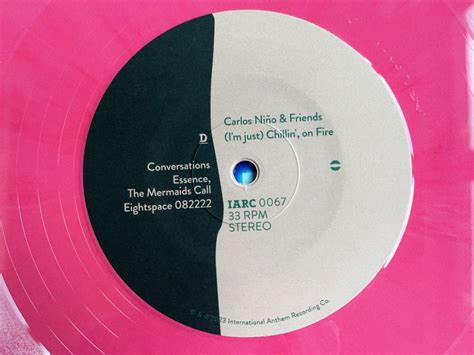 Im Just Chillin On Fire Carlos Niño And Friends International Anthem