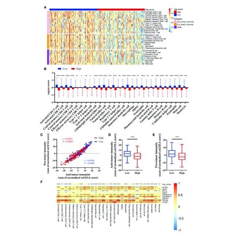 Prognostic Values Of The Immune Related Signature Model In The Tcga