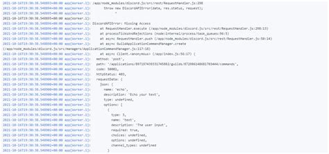 javascript slash command echo discordapierror missing access in