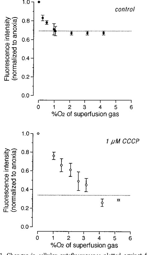 Figure 1 From Intracellular Gradients Of O2 Supply To Mitochondria In