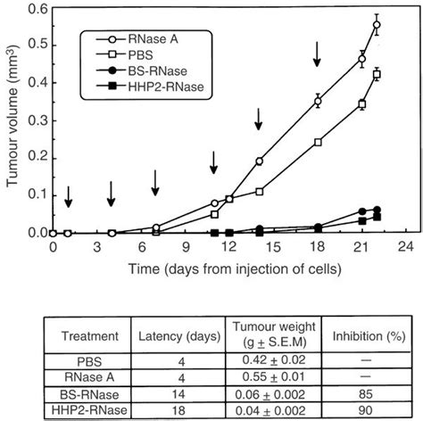Time Dependent Effect Of Bs Rnase And Hhp2 Rnase On Tumour