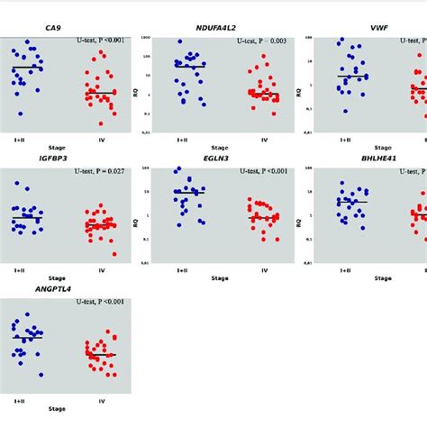 Relative Gene Expression Rq In I Ii • And Iv Stages • Gene