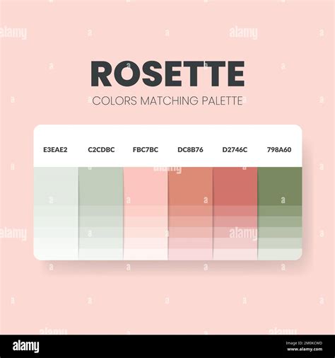 Color Palette In A Passion Colour Themed Collections Color Scheme Or