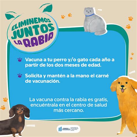 Ministerio De Salud Pública On Twitter ¡la Prevención De La Rabia