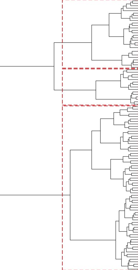 dendrogram showing hierarchical agglomerative clustering of auditory