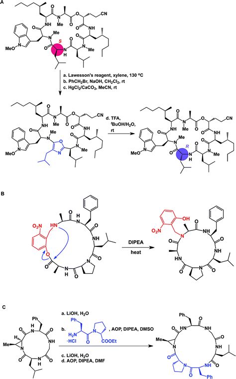 Macrocycles Lessons From The Distant Past Recent Developments And
