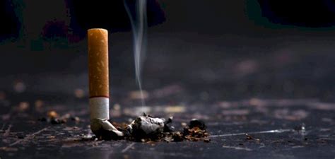 موضوع تعبير عن التدخين موضوع