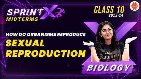 Sexual Reproduction Question Answers How Do Organisms Reproduce