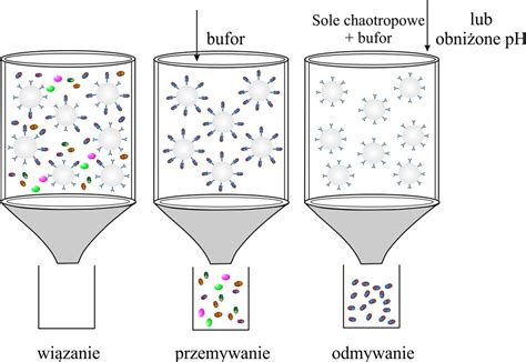 chromatografia powinowactwa pdf
