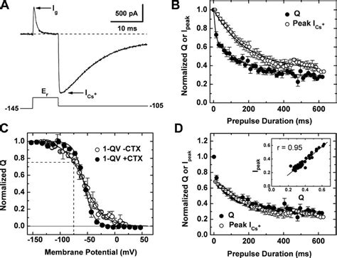 Simultaneous Measurements Inactivation And Q Immobilization A