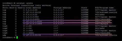 speed up magento 2 with varnish and nginx as ssl termination on ubuntu